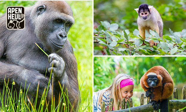 Apenheul, Dagentree voor Apenheul bespaar 36% in Kortrijk via Social Deal