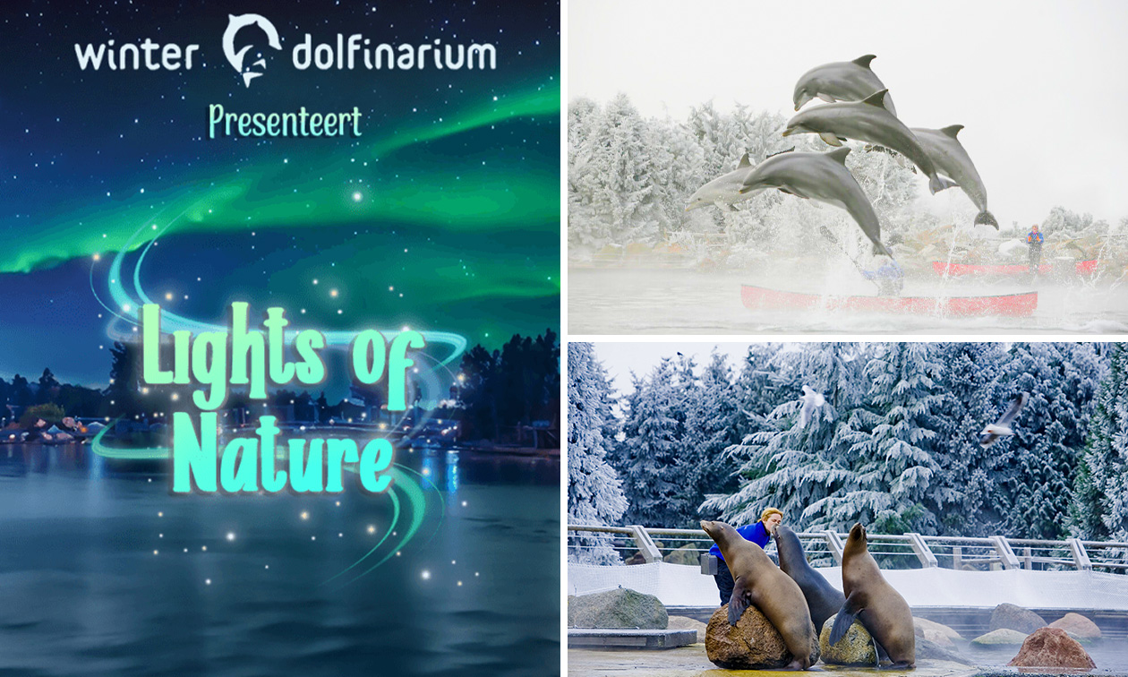 Dolfinarium, Entree voor het Dolfinarium bespaar 48% in Hasselt via ...