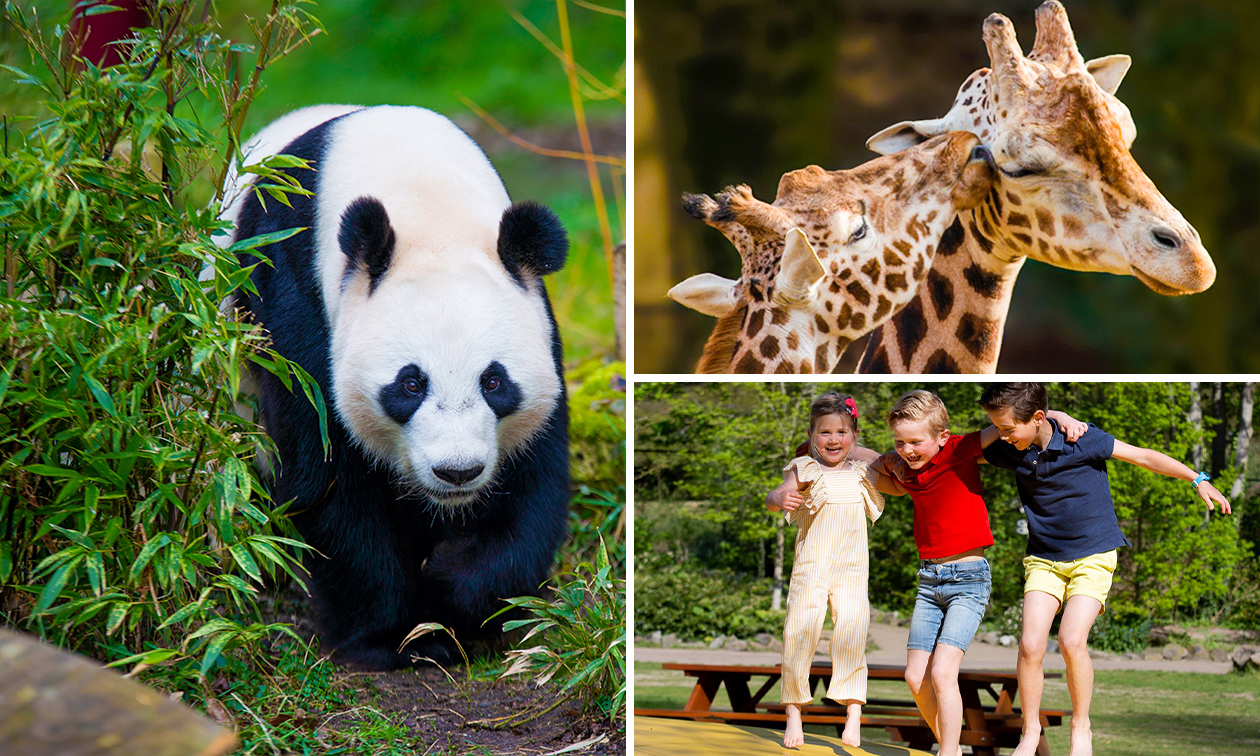 Ouwehands Dierenpark Rhenen, Entree voor Ouwehands Dierenpark Rhenen ...