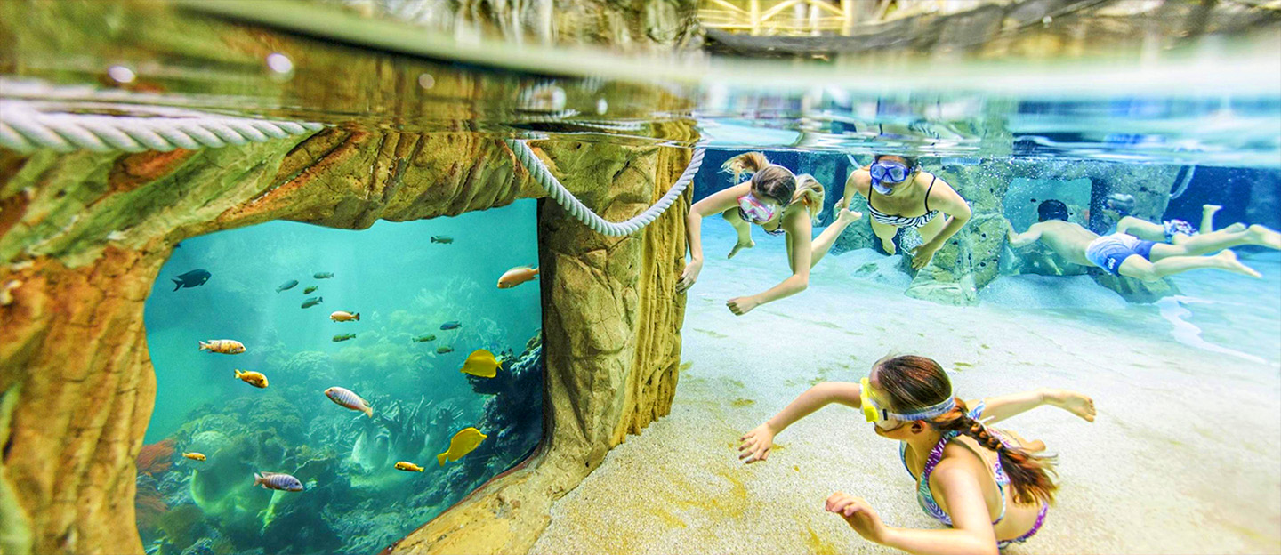 Met korting zwemmen bij Aqua Mundo Erperheide - Social Deal